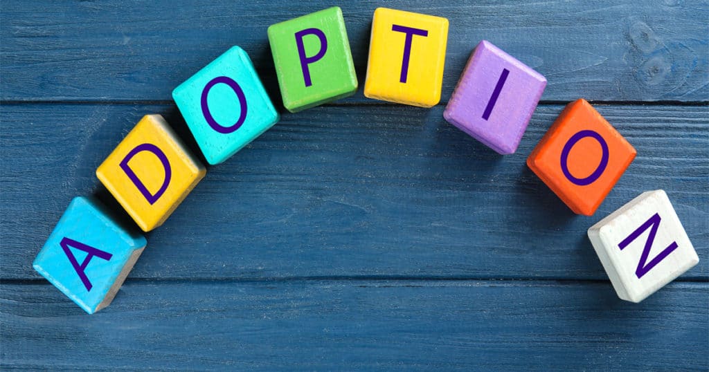 Adoption of My Stepchild