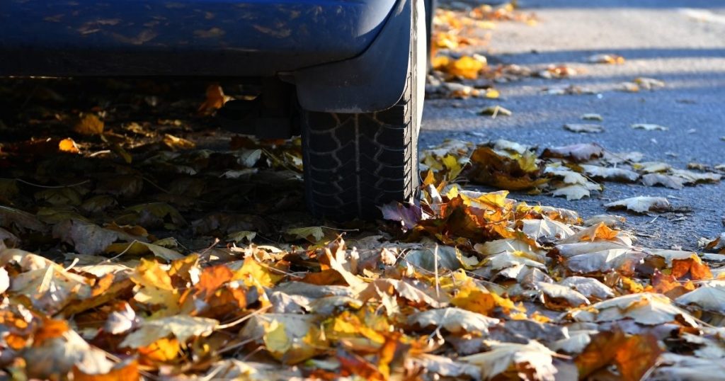 What are Crucial Fall Driving Safety Tips? | 610-565-3701